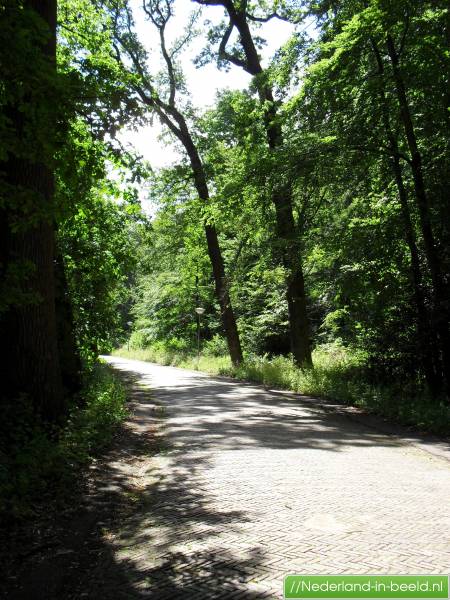 Luchtfoto's Velsen-zuid / foto's Velsen-zuid | Nederland-in-beeld.nl