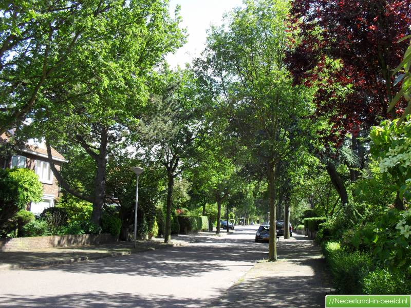 Luchtfoto's Velsen-zuid / foto's Velsen-zuid | Nederland-in-beeld.nl
