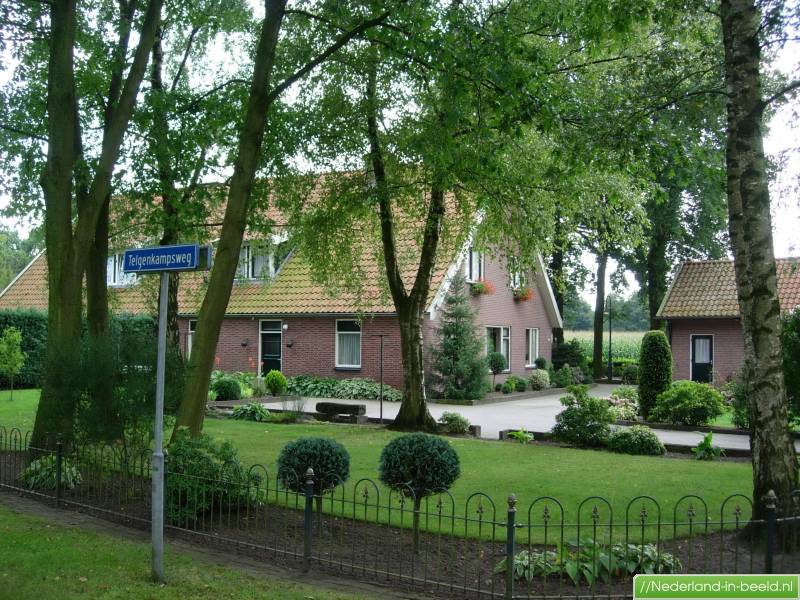 Albergen > Hamweg luchtfoto's / foto's | Nederland-in-beeld.nl