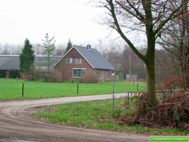 Ambt Delden > Demmersweg luchtfoto's / foto's | Nederland-in-beeld.nl