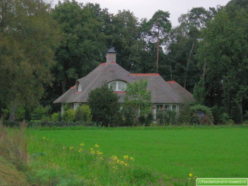 Bornerbroek > Zomerdijk luchtfoto's / foto's | Nederland-in-beeld.nl