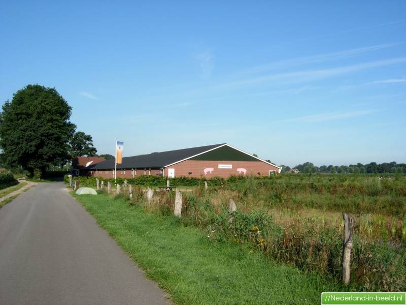 Bornerbroek > Algemeen luchtfoto's / foto's | Nederland-in-beeld.nl