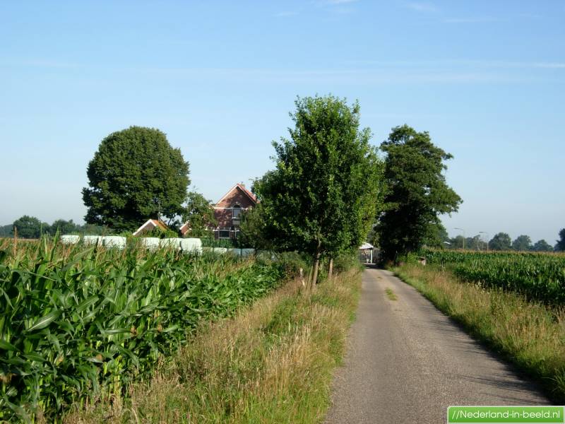 Bornerbroek > Tusveld luchtfoto's / foto's | Nederland-in-beeld.nl