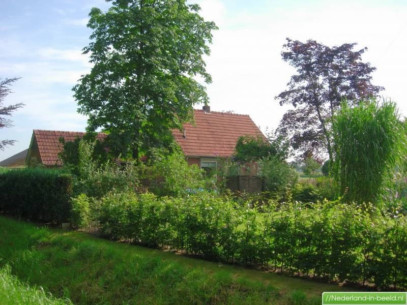 Bornerbroek > Zomerdijk luchtfoto's / foto's | Nederland-in-beeld.nl