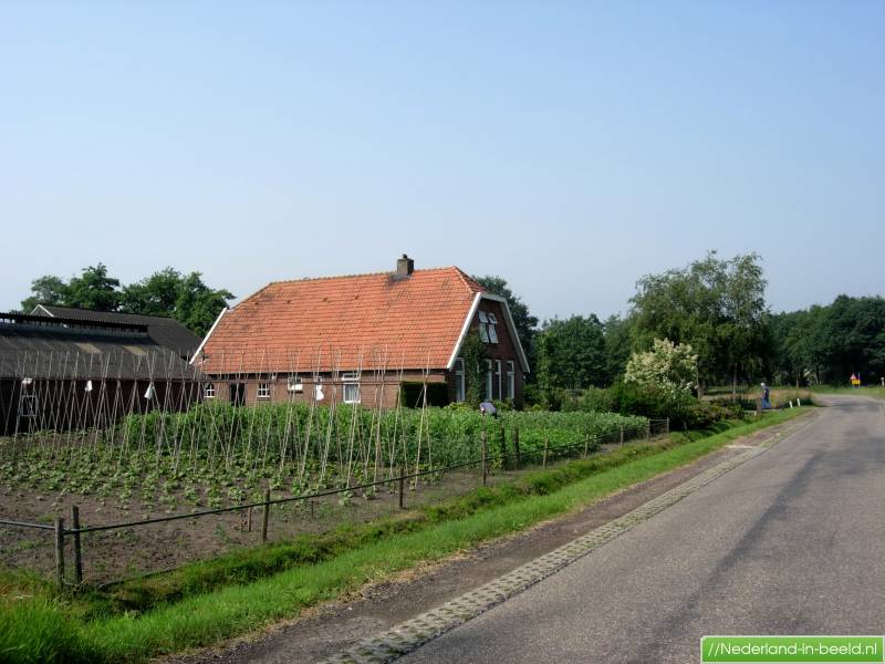 Bornerbroek > Tusveld luchtfoto's / foto's | Nederland-in-beeld.nl