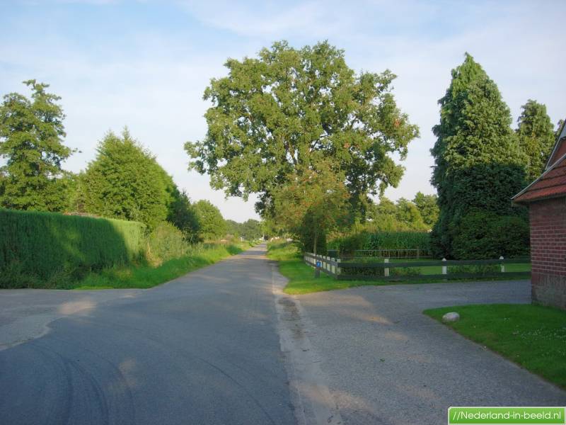 Bornerbroek > Zomerdijk luchtfoto's / foto's | Nederland-in-beeld.nl