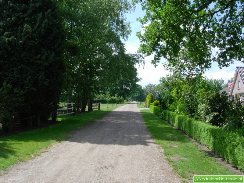 Bornerbroek > Zomerdijk luchtfoto's / foto's | Nederland-in-beeld.nl