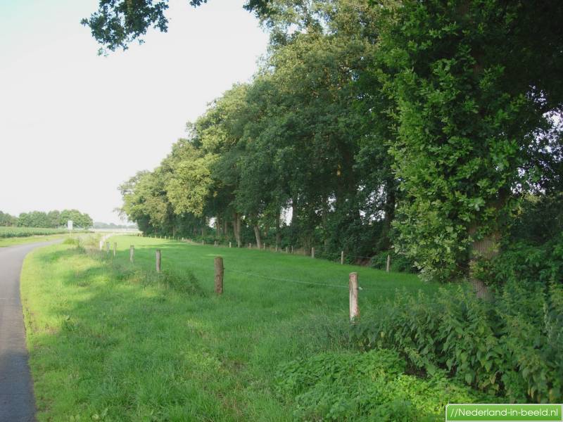 Wierden > Weesboom luchtfoto's / foto's | Nederland-in-beeld.nl