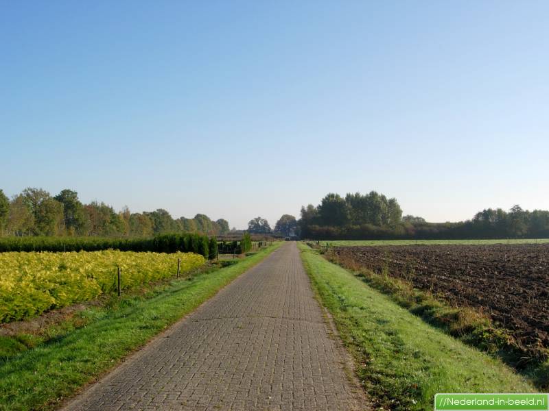 Zenderen > Hertmerweg luchtfoto's / foto's | Nederland-in-beeld.nl