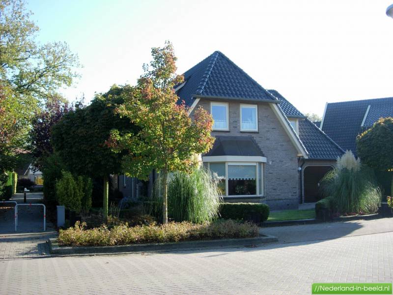 Zenderen > Dashorsterweg luchtfoto's / foto's | Nederland-in-beeld.nl