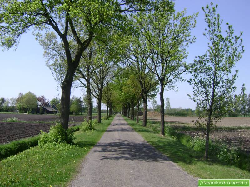 Luchtfoto's Bergentheim / foto's Bergentheim | Nederland-in-beeld.nl