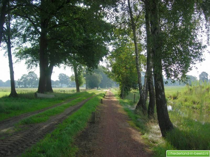 Luchtfoto's Bornerbroek / foto's Bornerbroek | Nederland-in-beeld.nl