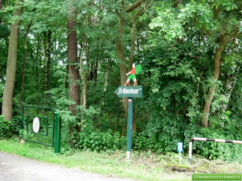Luchtfoto's Bornerbroek / foto's Bornerbroek | Nederland-in-beeld.nl