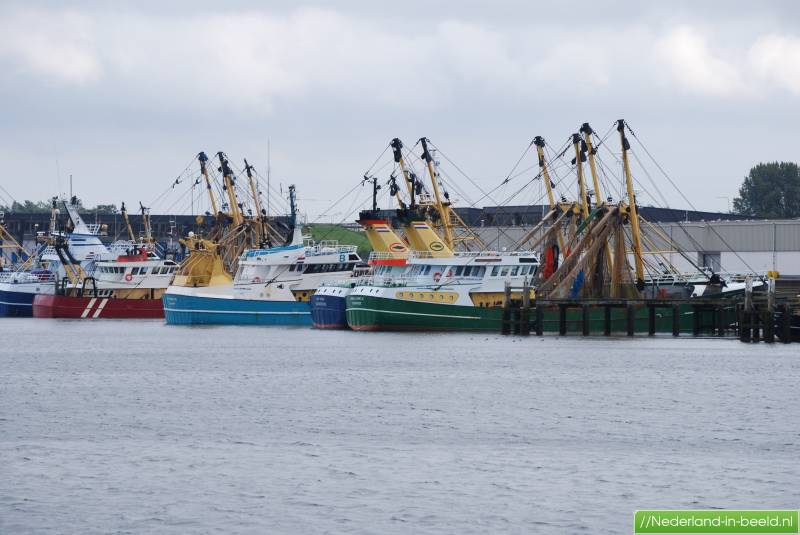 Luchtfoto's Stellendam / foto's Stellendam | Nederland-in-beeld.nl