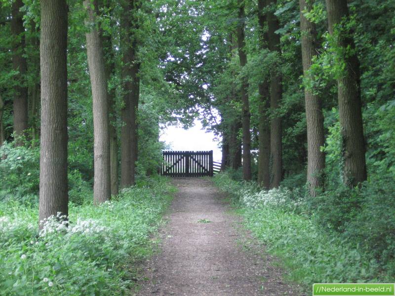 Cothen > Dorpsstraat luchtfoto's / foto's | Nederland-in-beeld.nl