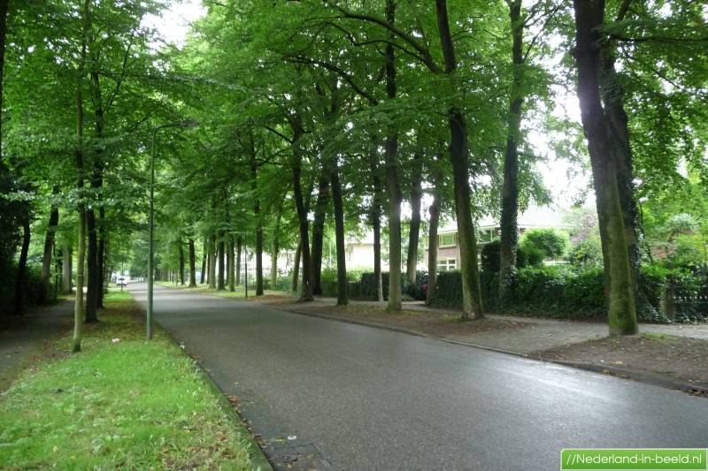 Driebergen-rijsenburg > Oranjelaan luchtfoto's / foto's | Nederland-in ...