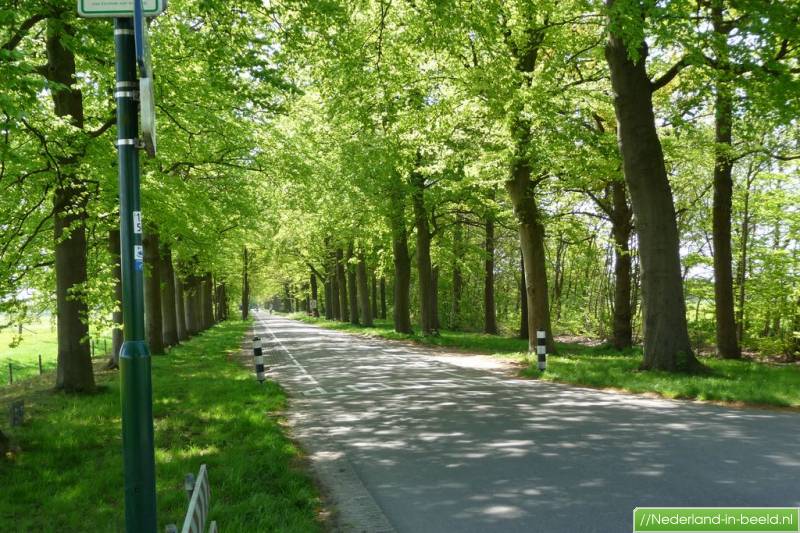 Driebergen-rijsenburg > Waterhoen luchtfoto's / foto's | Nederland-in ...
