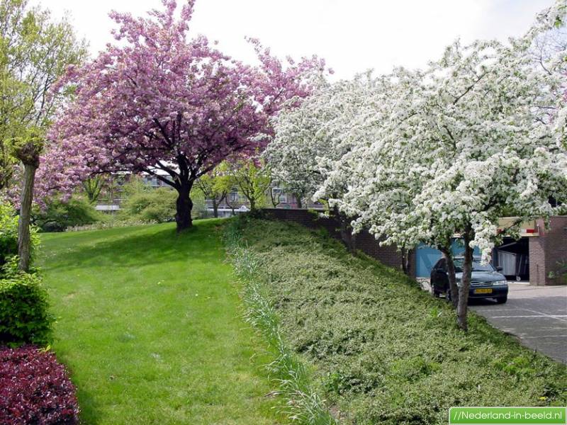 Rhenen > Veerplein luchtfoto's / foto's | Nederland-in-beeld.nl