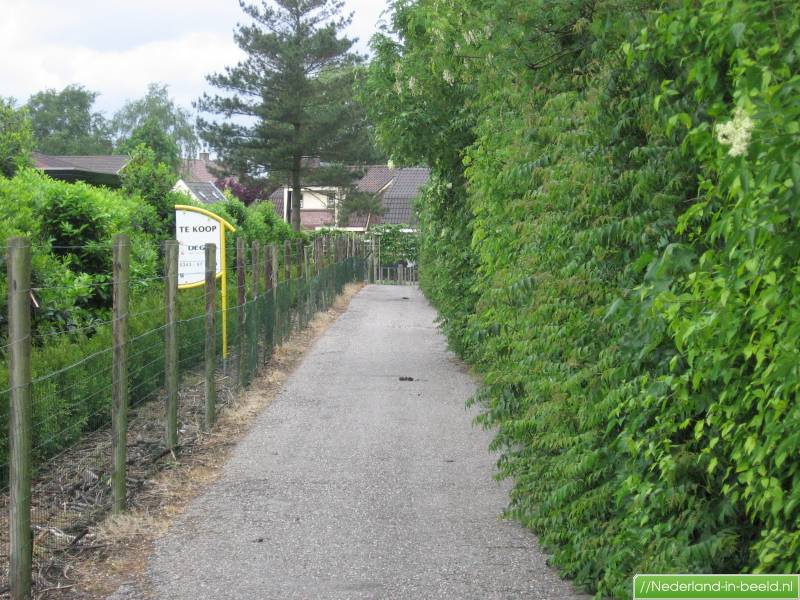 Luchtfoto's Cothen / foto's Cothen | Nederland-in-beeld.nl