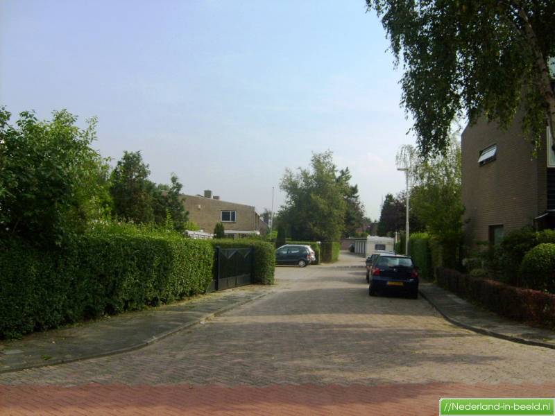 Luchtfoto's Rhoon / foto's Rhoon | Nederland-in-beeld.nl
