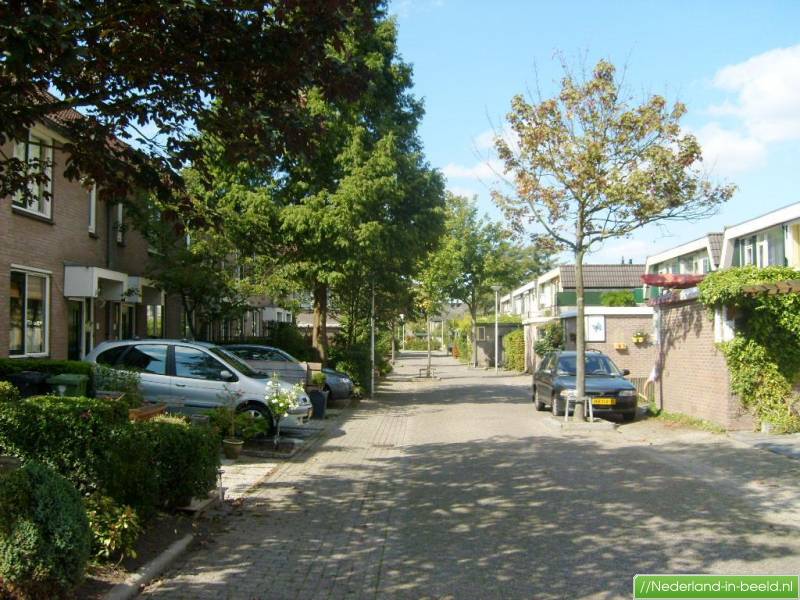 Luchtfoto's Rhoon / foto's Rhoon | Nederland-in-beeld.nl