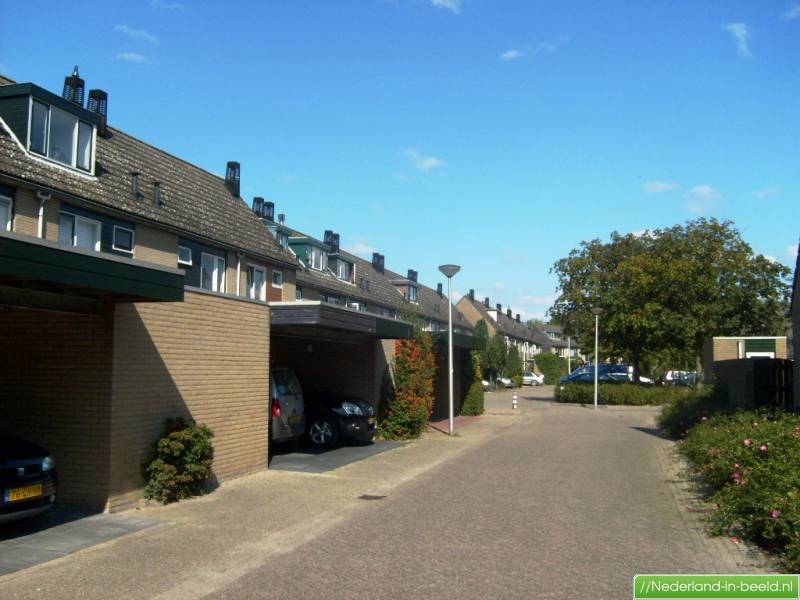 Luchtfoto's Rhoon / foto's Rhoon | Nederland-in-beeld.nl