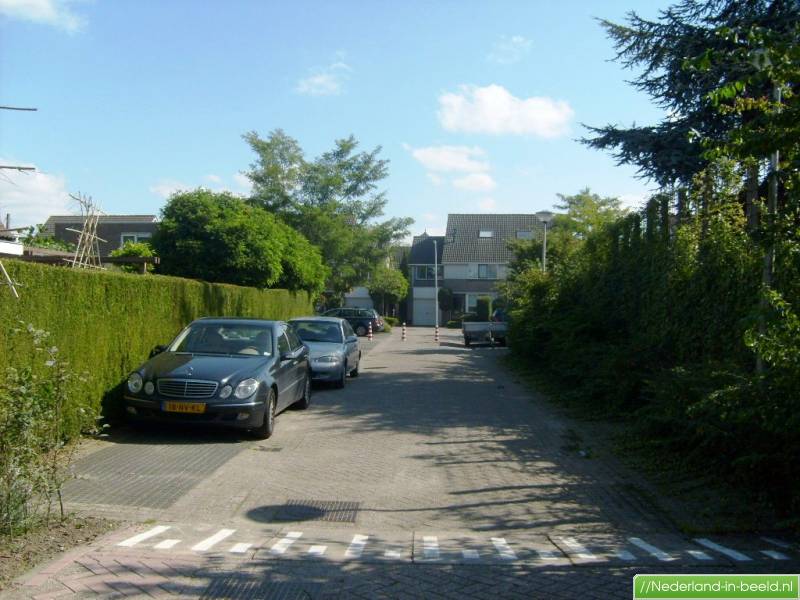 Luchtfoto's Rhoon / foto's Rhoon | Nederland-in-beeld.nl