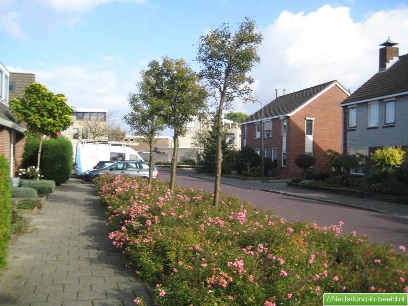 Lewedorp > PostApart luchtfoto's / foto's | Nederland-in-beeld.nl