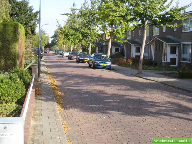 Lewedorp > Damstraat luchtfoto's / foto's | Nederland-in-beeld.nl