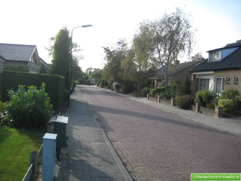 Luchtfoto's Lewedorp / foto's Lewedorp | Nederland-in-beeld.nl