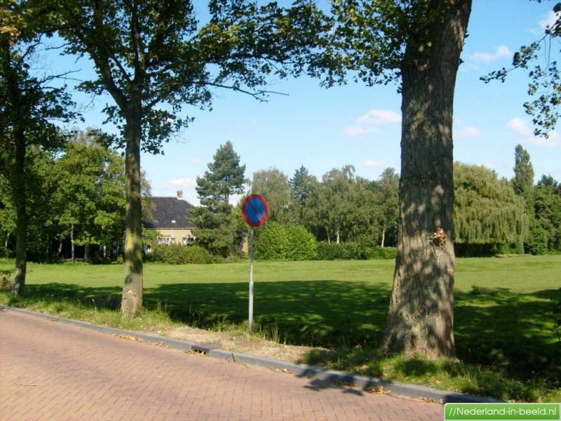 Rhoon - JungleKey.be Afbeelding #50