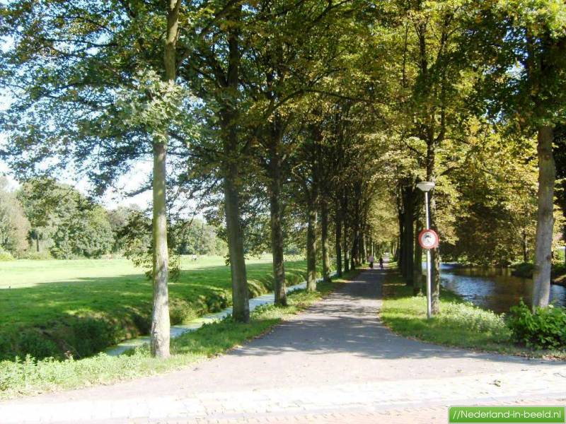 Rhoon > Reesteijn luchtfoto's / foto's | Nederland-in-beeld.nl