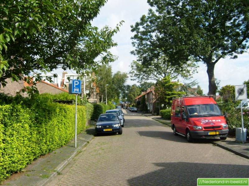 Rhoon > Zonnebloem luchtfoto's / foto's | Nederland-in-beeld.nl