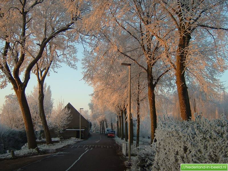 Rhoon > Ghijseland luchtfoto's / foto's | Nederland-in-beeld.nl