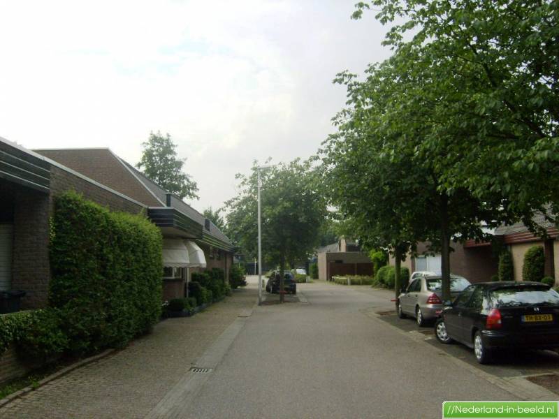 Rhoon > Nieuweweg luchtfoto's / foto's | Nederland-in-beeld.nl