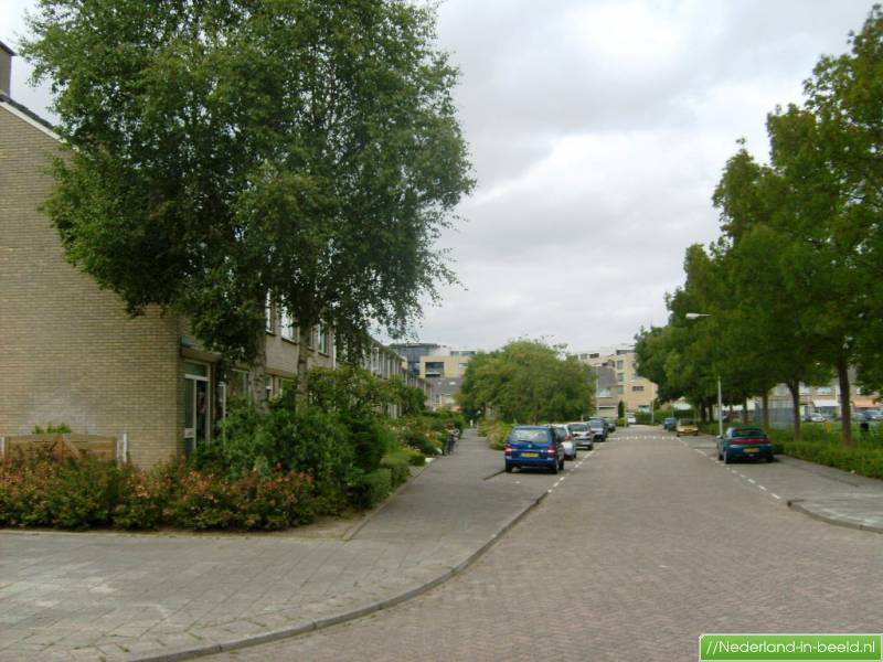 Ridderkerk > Anjerstraat luchtfoto's / foto's | Nederland-in-beeld.nl