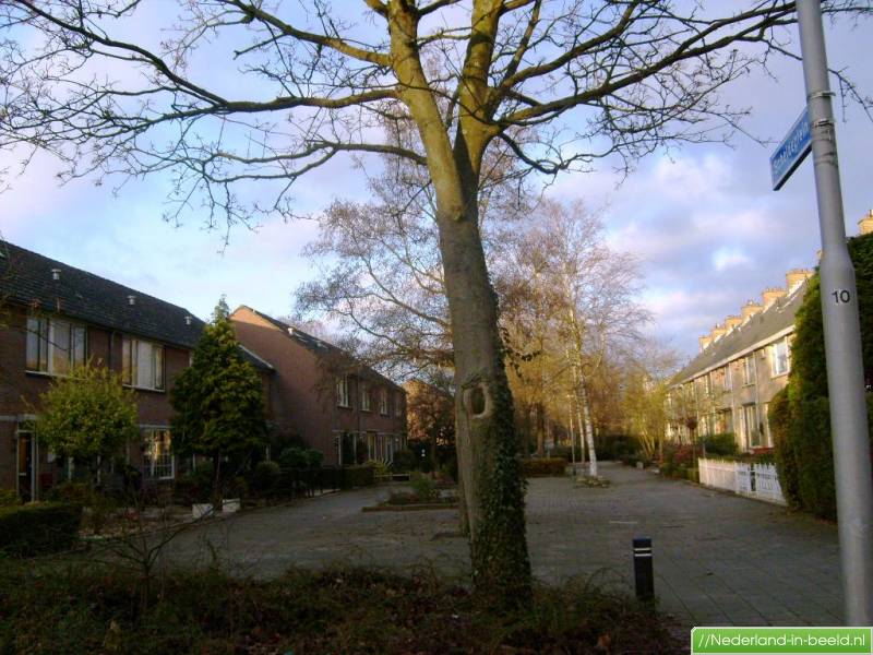 Ridderkerk > Glasblazerstraat luchtfoto's / foto's | Nederland-in-beeld.nl