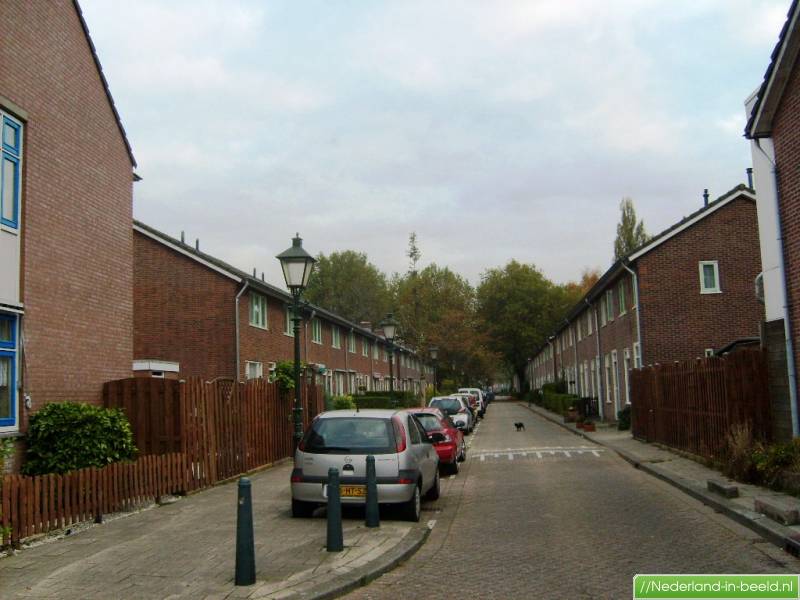 Rotterdam > Groenezoom luchtfoto's / foto's | Nederland-in-beeld.nl