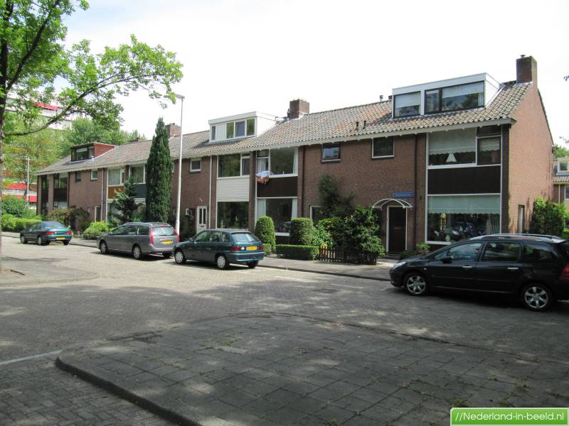 Rotterdam > Tweebosstraat luchtfoto's / foto's | Nederland-in-beeld.nl