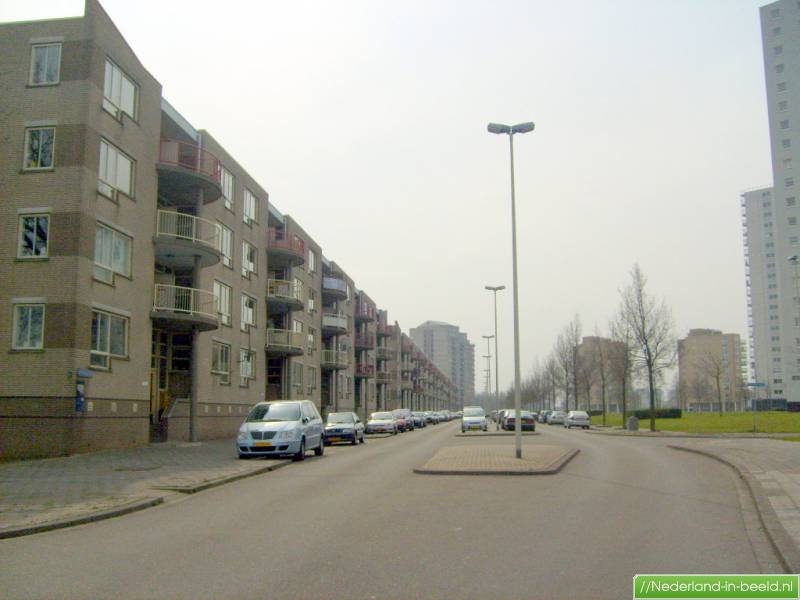 Rotterdam > Oost-Pietermanstraat luchtfoto's / foto's | Nederland-in ...