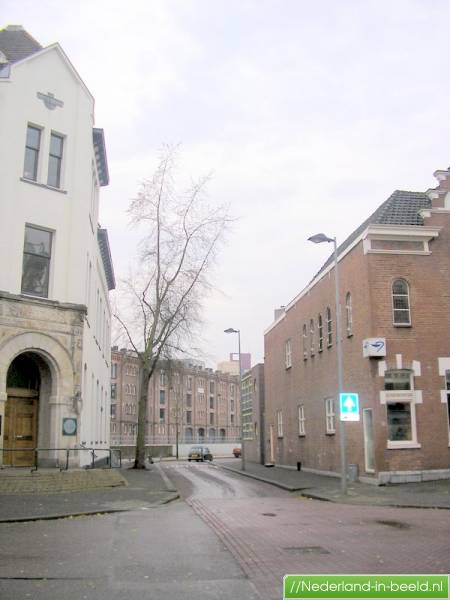 Rotterdam > Palmentuin luchtfoto's / foto's | Nederland-in-beeld.nl