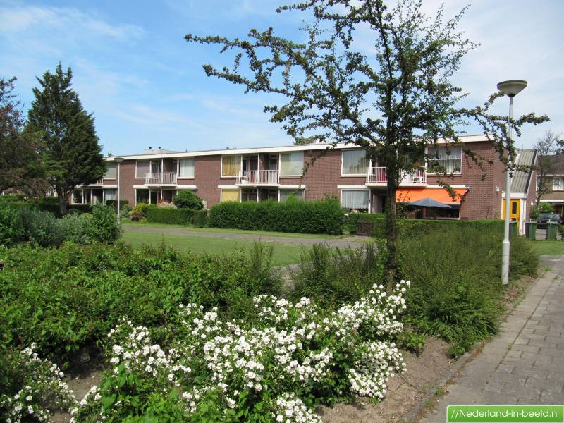 Rotterdam > Groenezoom luchtfoto's / foto's | Nederland-in-beeld.nl