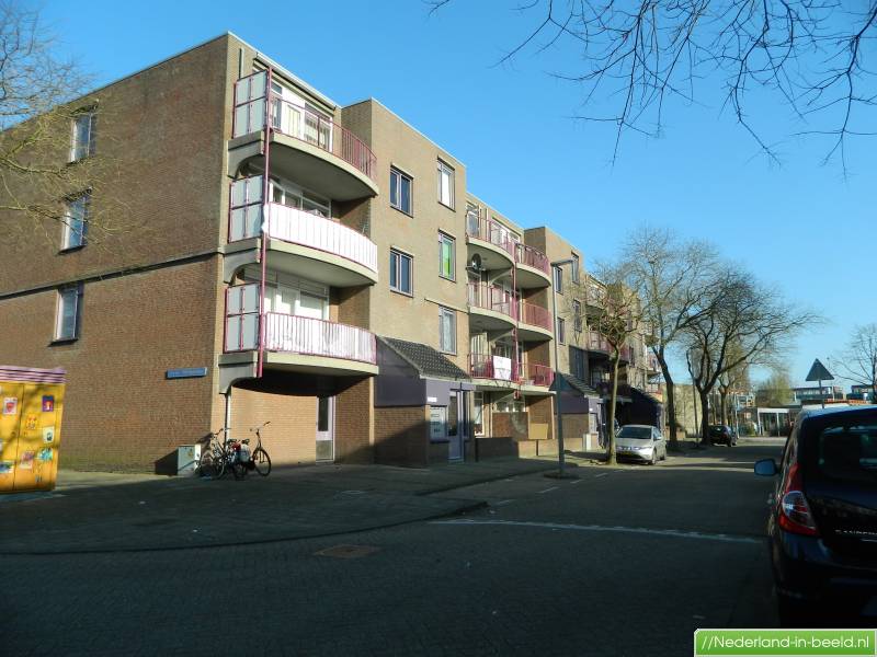 Rotterdam > Groenezoom luchtfoto's / foto's | Nederland-in-beeld.nl