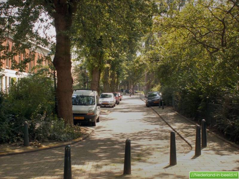 Rotterdam > Tweebosstraat luchtfoto's / foto's | Nederland-in-beeld.nl