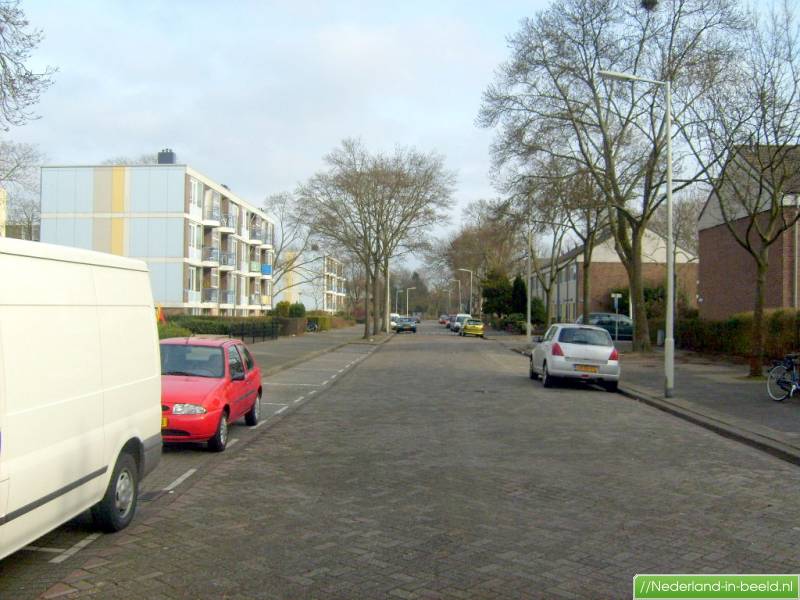 Rotterdam > Parklaan luchtfoto's / foto's | Nederland-in-beeld.nl