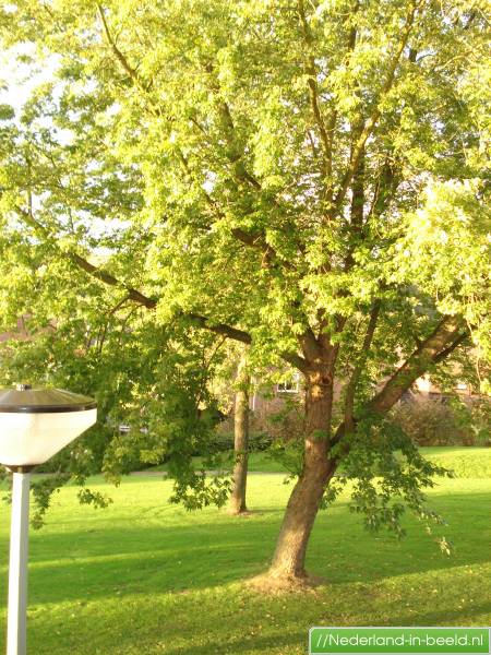 Luchtfoto's Landgraaf / foto's Landgraaf | Nederland-in-beeld.nl