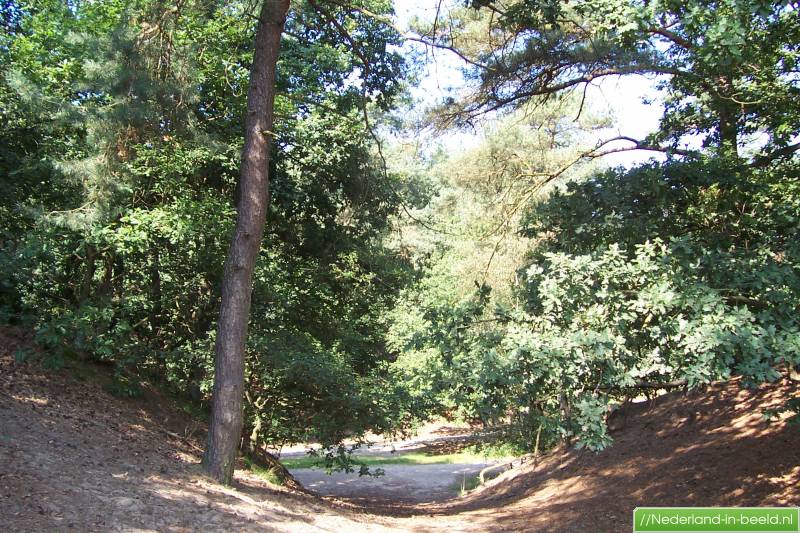 Luchtfoto's Drunen / foto's Drunen | Nederland-in-beeld.nl