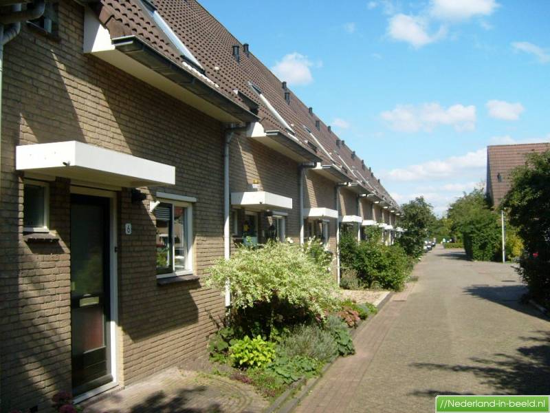 Luchtfoto's Rhoon / foto's Rhoon | Nederland-in-beeld.nl