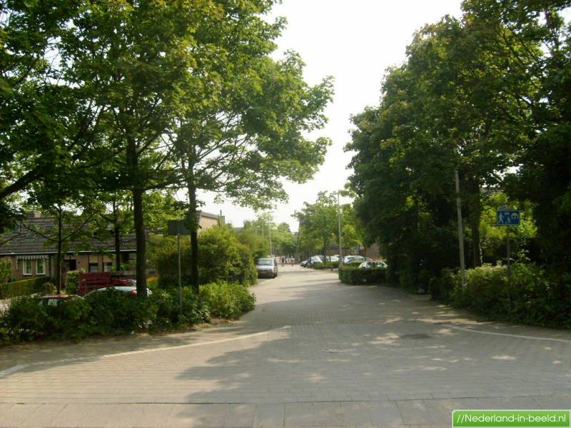 Rhoon - JungleKey.be Afbeelding #100