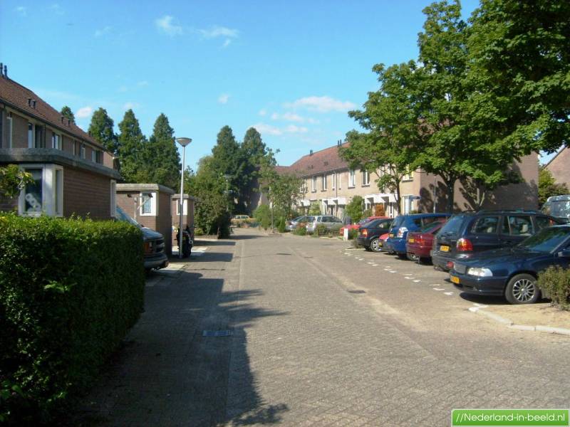 Luchtfoto's Rhoon / foto's Rhoon | Nederland-in-beeld.nl